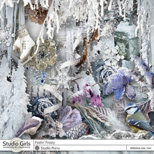 Feelin’ Frosty Collection – Digital Scrapbooking